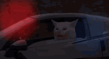 Cat Driving As Police Is Chasing GIF | GIFDB.com