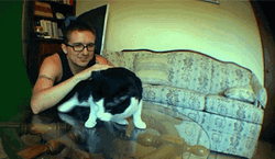 Cat Explosive Diarrhea Meme GIF | GIFDB.com
