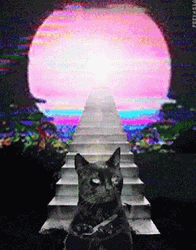 Cat Filing Nails Salem Glitching Aesthetic Stairway GIF | GIFDB.com