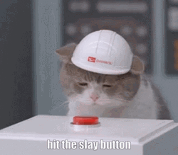 Cat Hit The Slay Button GIF | GIFDB.com