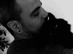 Cat Hug White Kitten Hug Guy GIF | GIFDB.com