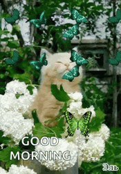 Cat In Green Floral Garden GIF | GIFDB.com