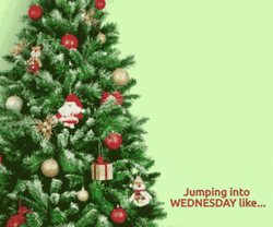 Cat Jumping Into Christmas Wednesday GIF | GIFDB.com