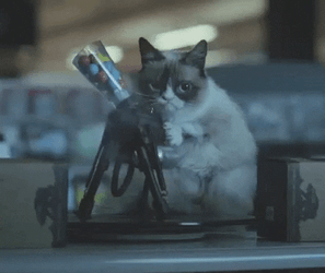 Cat Machine Gun Bad Aim GIF | GIFDB.com