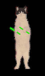 Cat Rave Party Jumping GIF | GIFDB.com