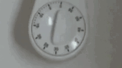 Cat Running Scared On Timer GIF | GIFDB.com