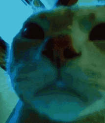 Cat Watching Dancing Alien GIF | GIFDB.com