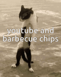 Cat Youtube Meme GIF | GIFDB.com