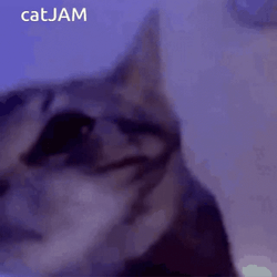Catjam Gif File 14503kb GIF | GIFDB.com