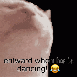 Catjam Gif File 5039kb GIF | GIFDB.com