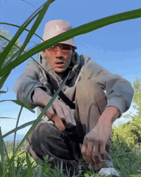 Caught In 4k Ground Hidden Camera GIF | GIFDB.com