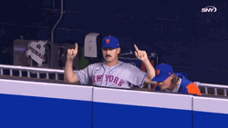 Celebrate Lfgm Mets GIF | GIFDB.com