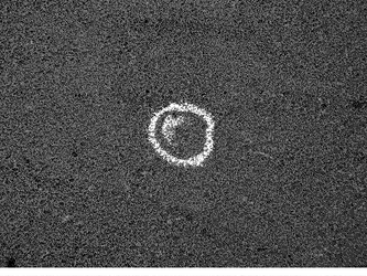 Chalk Drawing Circle GIF | GIFDB.com