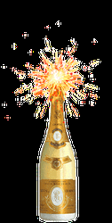 Champagne Popping Fireworks GIF | GIFDB.com