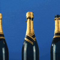 Champagne Popping In Line GIF | GIFDB.com