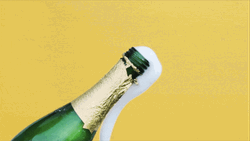Champagne Popping Liquid Pouring GIF | GIFDB.com