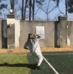 Chancla Slipper Throw Target Practice GIF | GIFDB.com