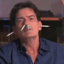 Charlie Sheen Smoking Winning Meme GIF | GIFDB.com