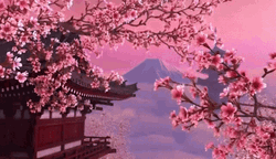 Cherry Blossom Volcano View GIF | GIFDB.com