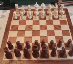 Chess Pawn Attacking Checkmate GIF | GIFDB.com