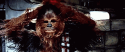 Chewbacca Fixing His Hair GIF | GIFDB.com