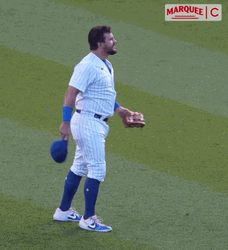 Chicago Cubs Great Catcher GIF | GIFDB.com