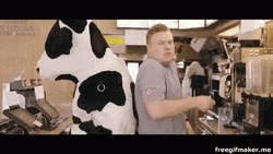Chick Fil A 444 X 250 Gif GIF | GIFDB.com