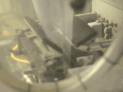 Chicken Nugget Meme Packing GIF | GIFDB.com