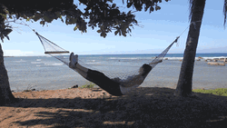 Chill Summer Beach Waves Hammock GIF | GIFDB.com