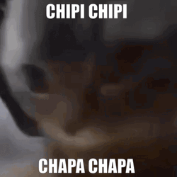 Chipi Chipi Chapa Chapa Cat Head Movement GIF | GIFDB.com