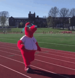 Cincinnati Reds Gapper Tripping GIF | GIFDB.com