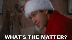 Clark Griswold What Is The Matter GIF | GIFDB.com