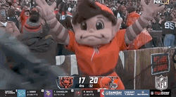 Cleveland Browns Mascot Brownie The Elf GIF | GIFDB.com