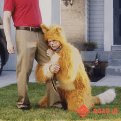 Clinging Man Dry Hump Meme GIF | GIFDB.com