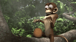 Coco Monkey Muy Loco GIF | GIFDB.com