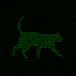 Coding Walking Cat GIF | GIFDB.com