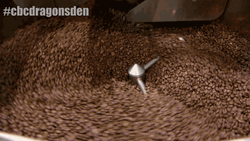 Coffee Beans Roasting Process Machine GIF | GIFDB.com