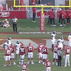 College Football Arkansas Razorbacks GIF | GIFDB.com