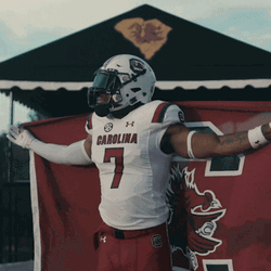 College Football South Carolina Gamecocks GIF | GIFDB.com