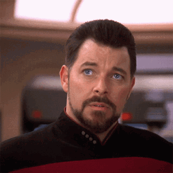 Concerned Star Trek William T. Riker GIF | GIFDB.com
