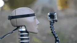 Concussion Study Force GIF | GIFDB.com