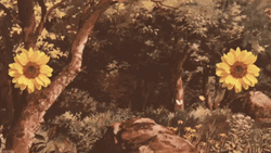 Cottagecore Sunflower And Butterfly GIF | GIFDB.com