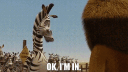 Count Me In Marty In Madagascar GIF | GIFDB.com