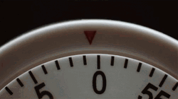 Countdown Egg Timer GIF | GIFDB.com