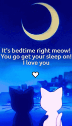 Couple Cat Message Each Other Before Bedtime GIF | GIFDB.com