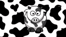 Cow Dancing And Spinning With Cowhide Background GIF | GIFDB.com