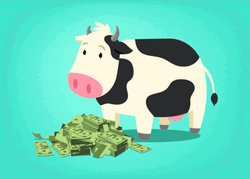Cow Eating Money GIF | GIFDB.com