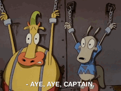 Ball Rolling Saying Aye Aye Captain GIF | GIFDB.com