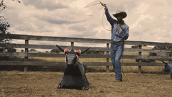 Cowboy Practicing Rope Steering GIF | GIFDB.com