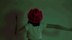 Cowgirl Back Dancing GIF | GIFDB.com